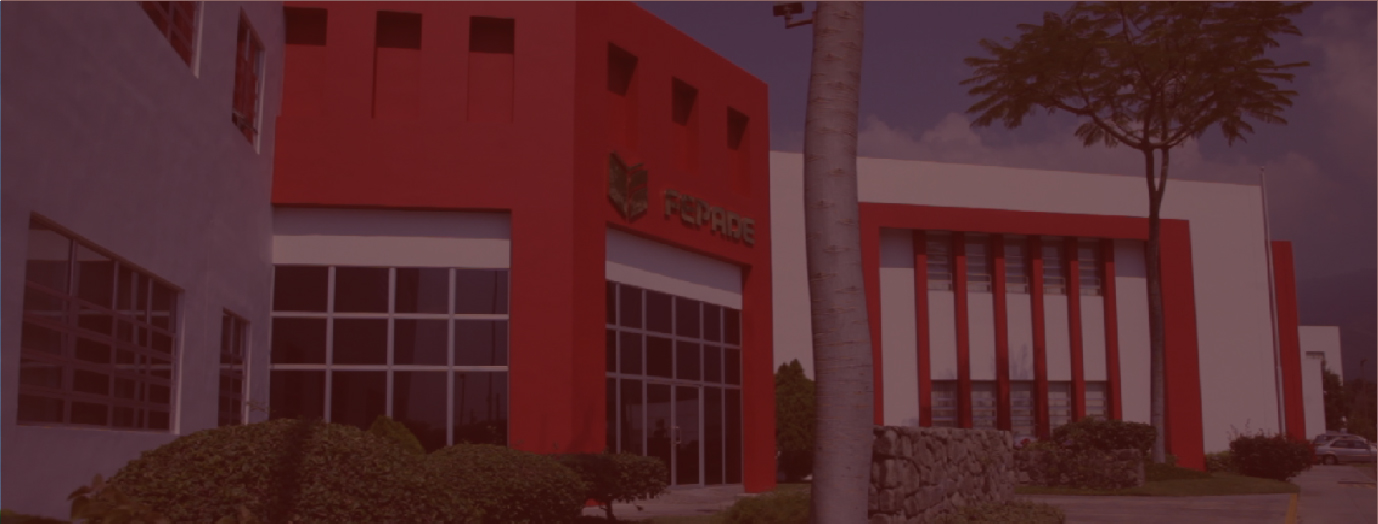 ¿QUIÉNES SOMOS? – FEPADE